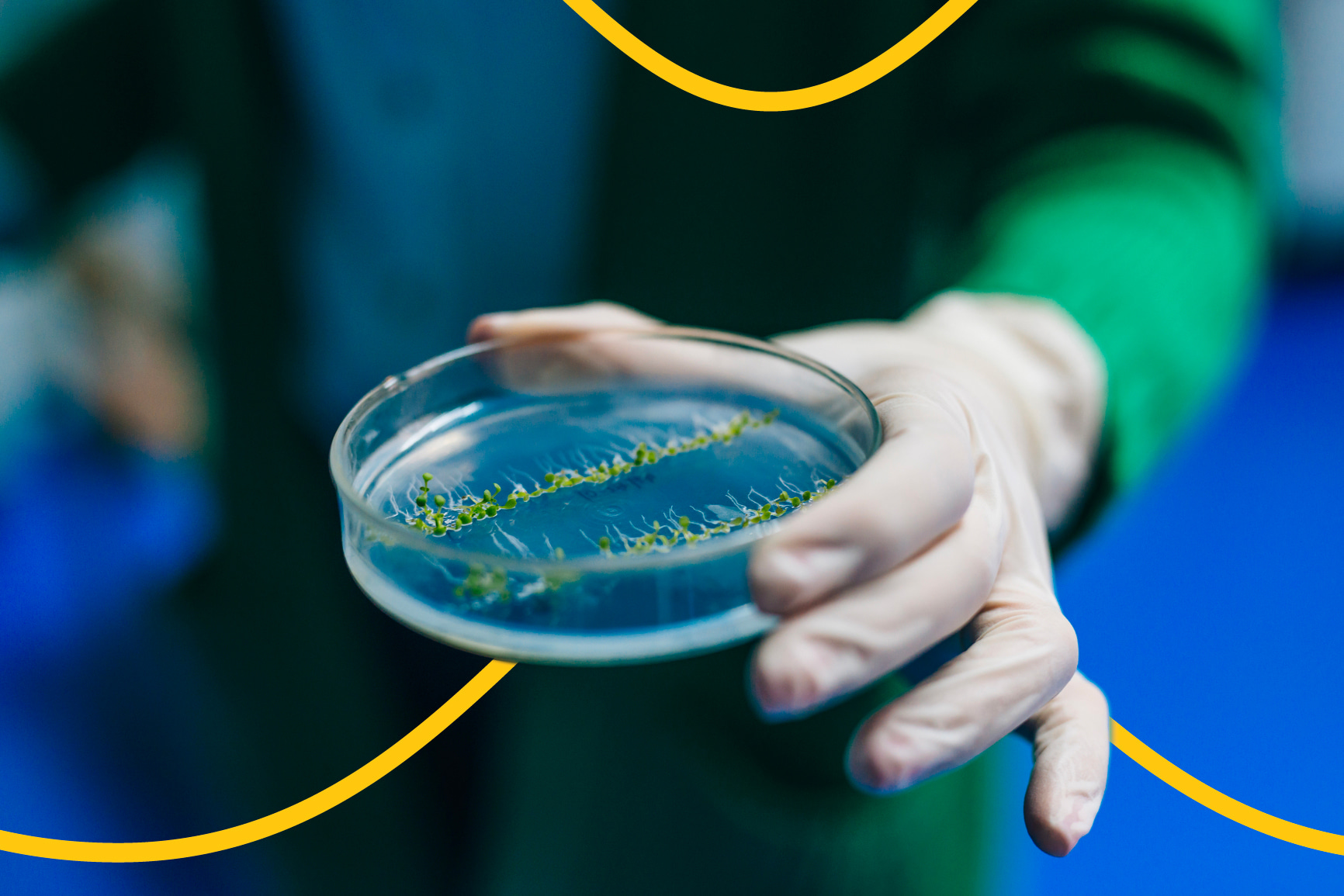 On Food Perspective | OnFoods