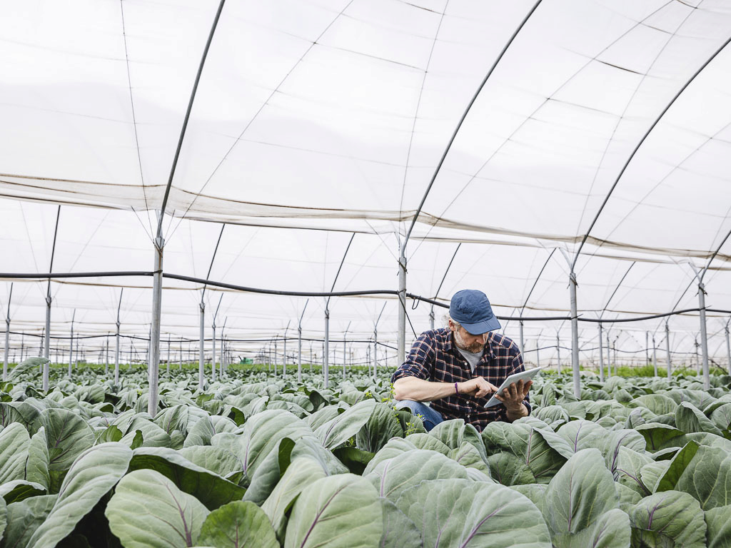 Sustainable food production amid systemic limitations and the rising ...