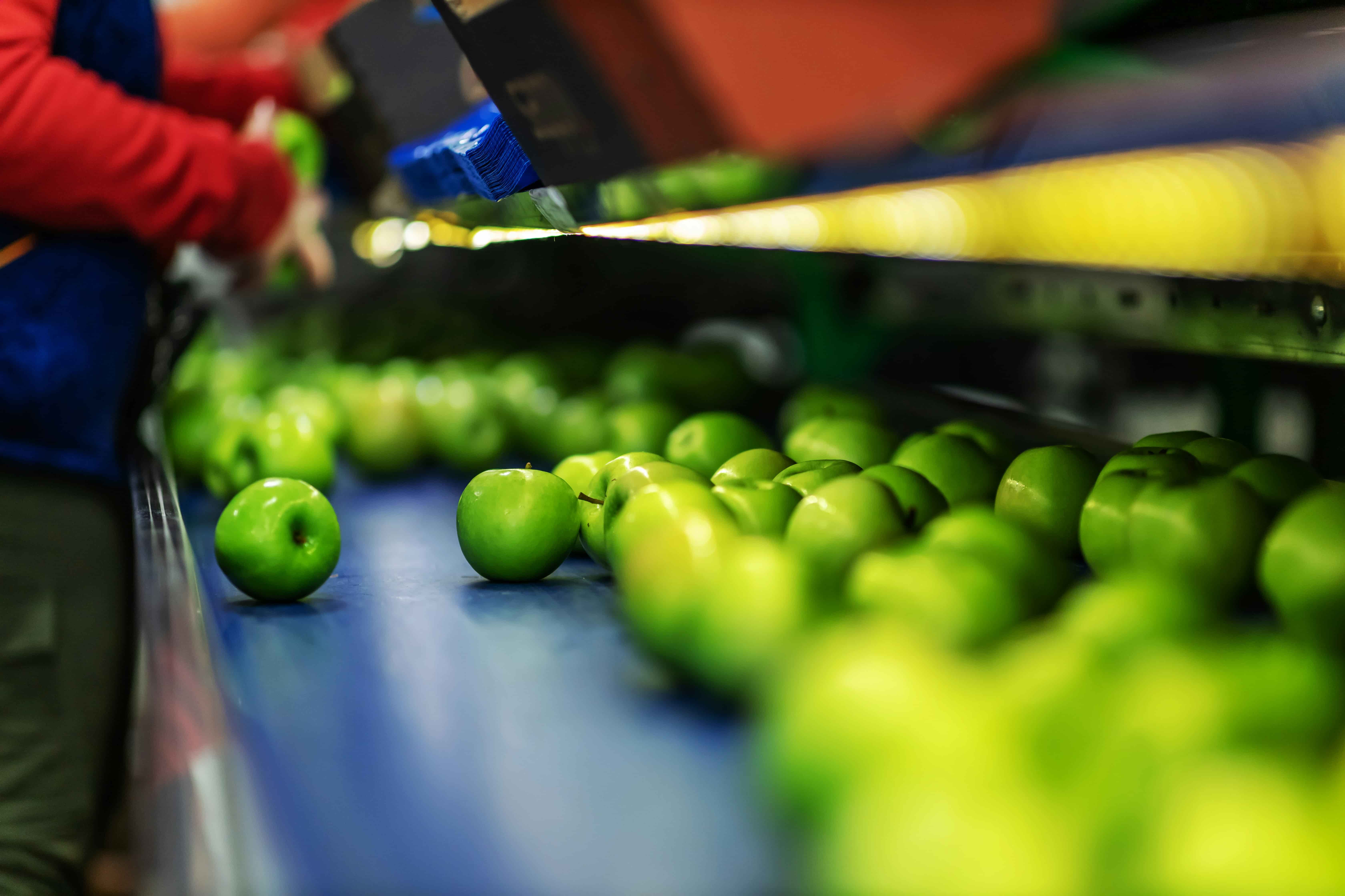 Scientific Workshop. "The sustainability of food supply chains: theory ...