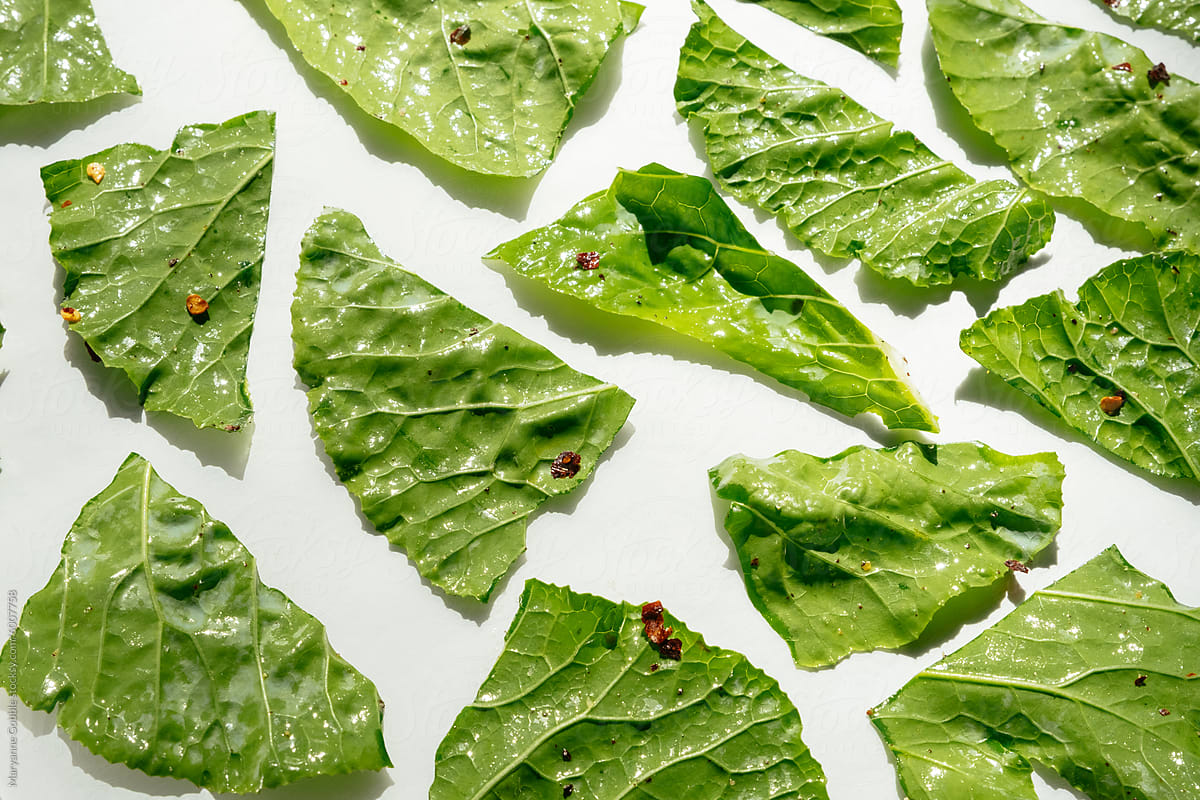 Food Waste on the Rise in Italian Households: Findings from the 2024 ...
