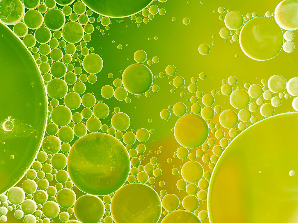 Tradition and Innovation in Food: More Connected Than We Think? A two ...